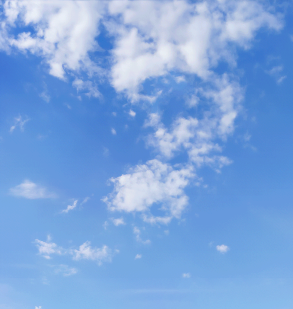 Teton Trust Company - A state-chartered trust company in Wyoming.